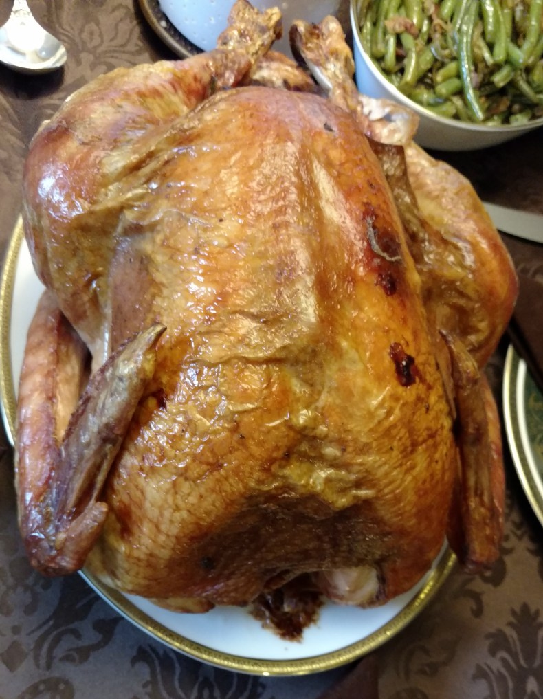 A Wild Goose Chase on Thanksgiving – blairbirding
